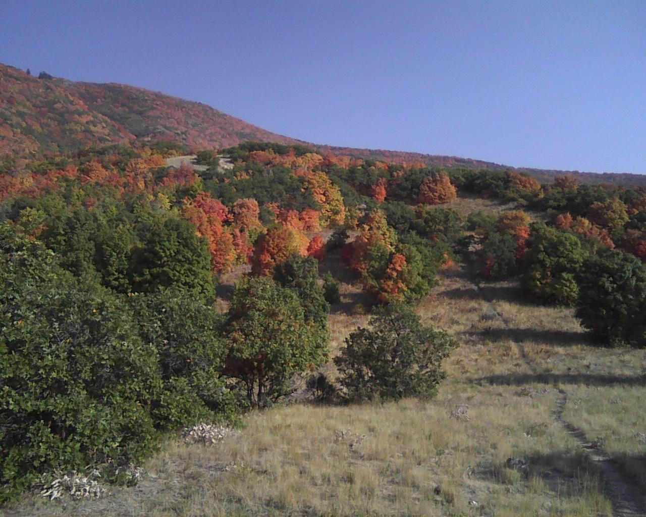 About | Pretty Valley